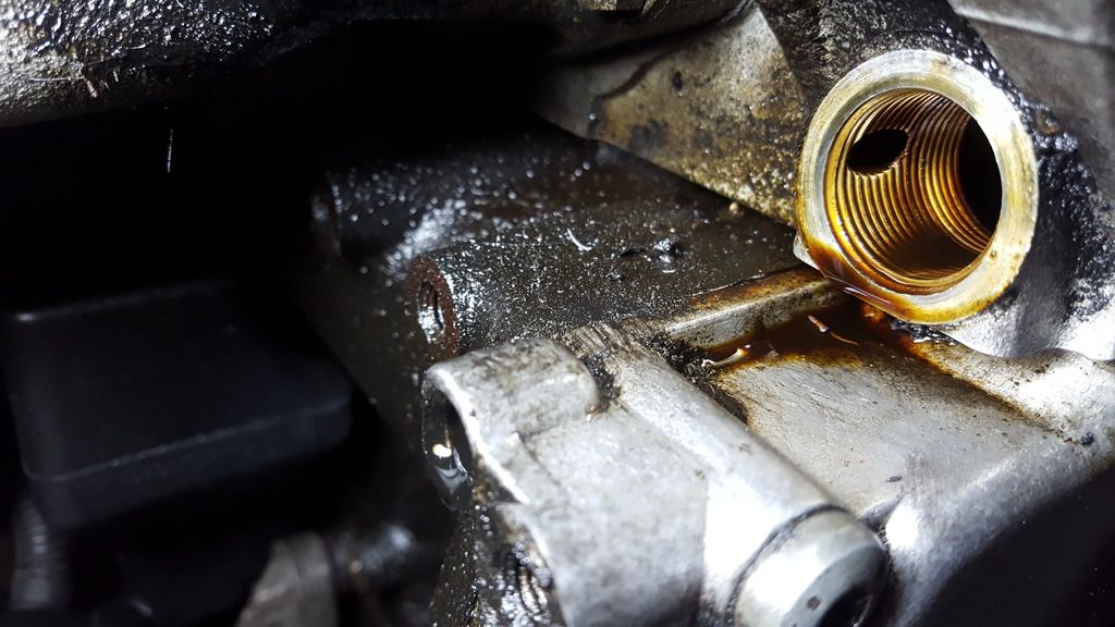 Oil leak on main serpentine belt - (passenger side) | Page 2 | SaabCentral Forums