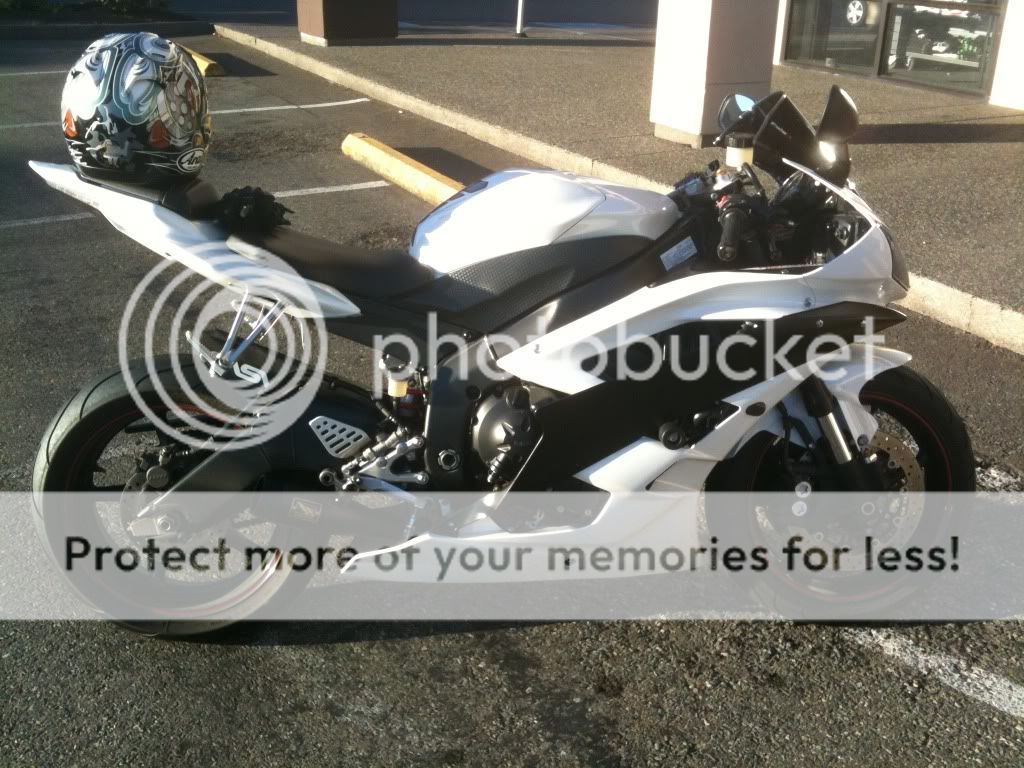 Custom Yamaha R6 White