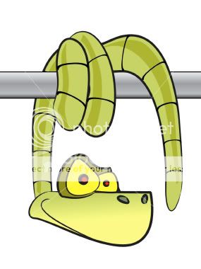 PHiDP ujawnia całą prawdę o dupie węża! | Partia Hejaho i Do Przodu!