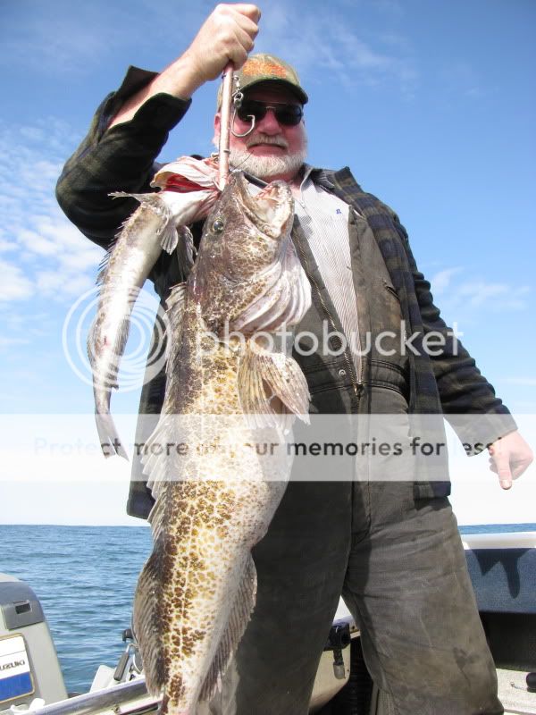 Show us Your Favorite Halibut Rig Setup | Bloodydecks