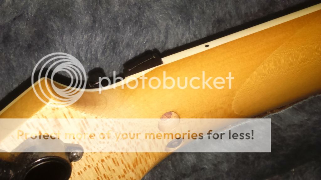 1992 RG770DX Violet Metallic - To buy or not to buy?!? | Ibanez JEM Forum