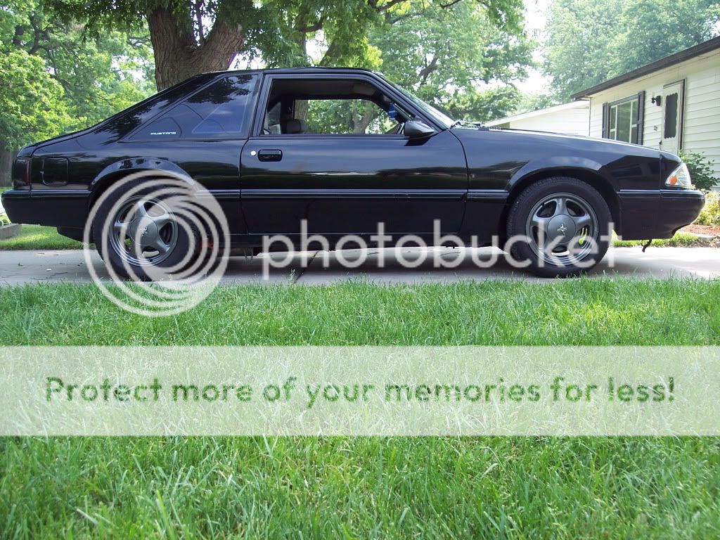 hmm hatch mustangs wingless??? | Modded Mustang Forums